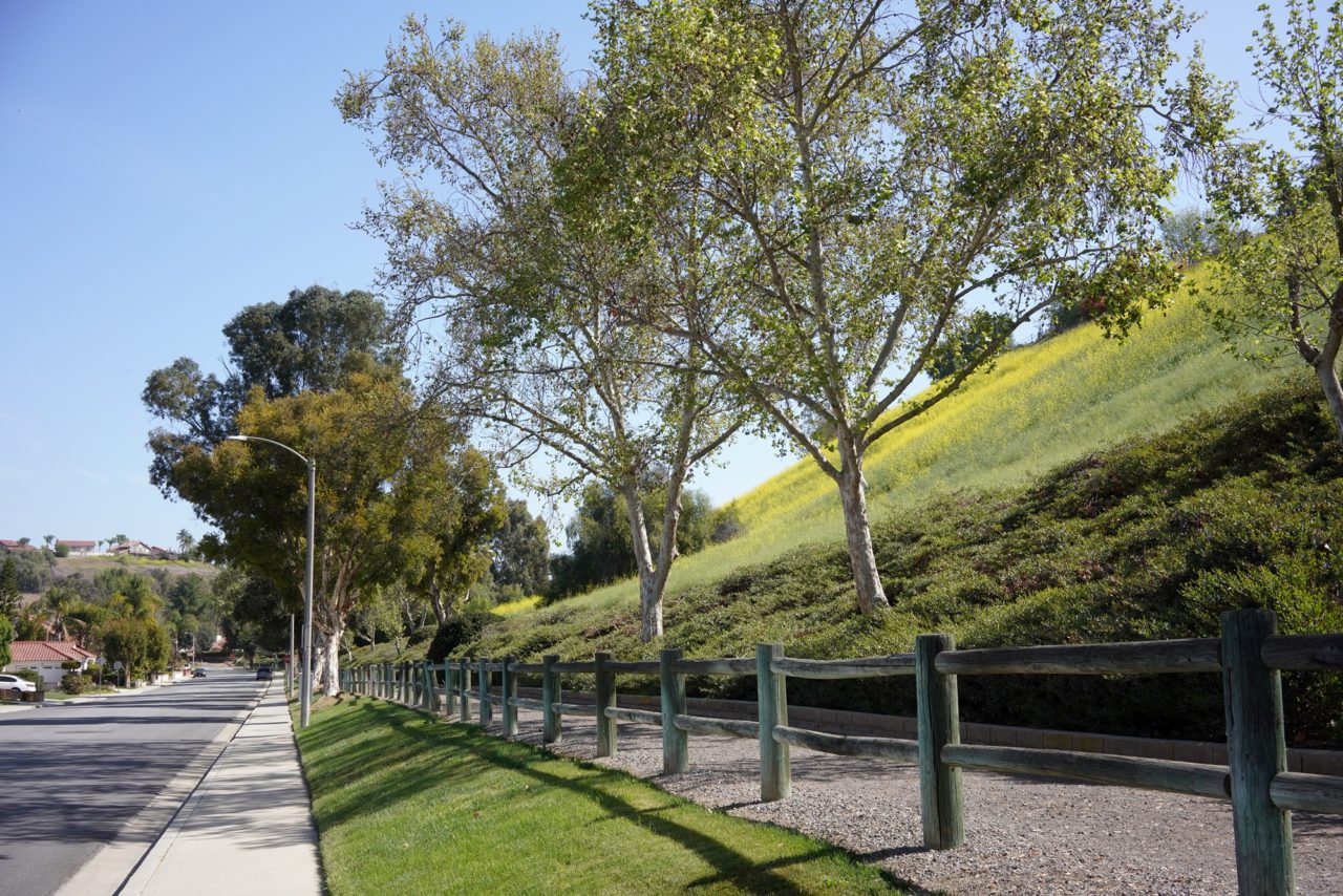 City of Walnut, Los Angeles, USA - See Any Places