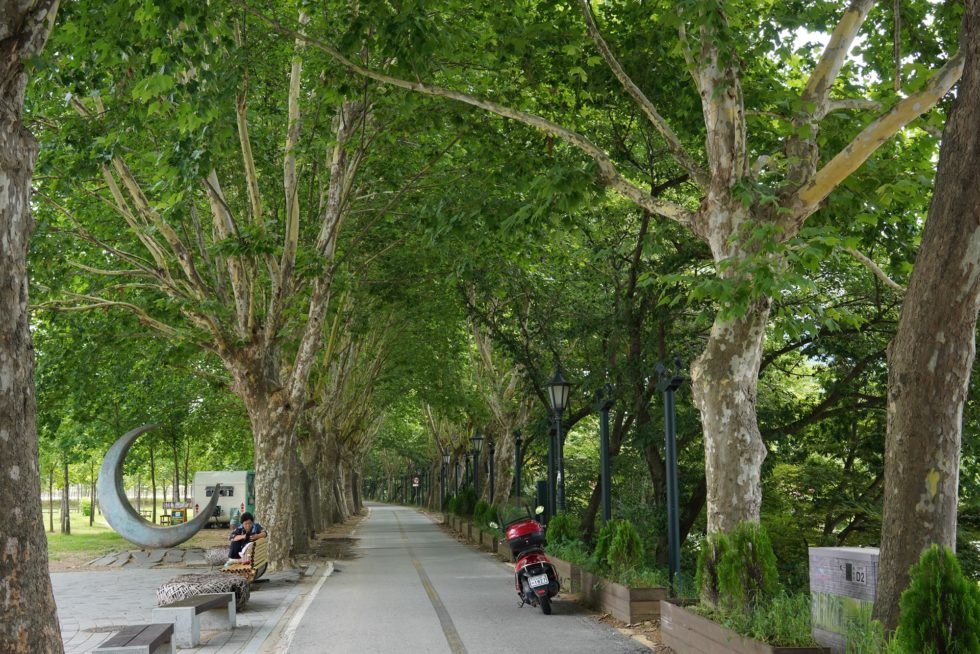 Damyang Juknokwon (Bamboo Forest), Metasequoia-lined Road, and Meta ...
