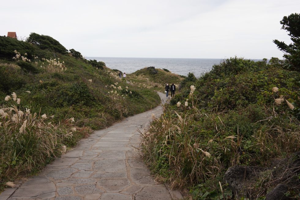 Jeju-do Yumin Art Museum, South Korea - See Any Places
