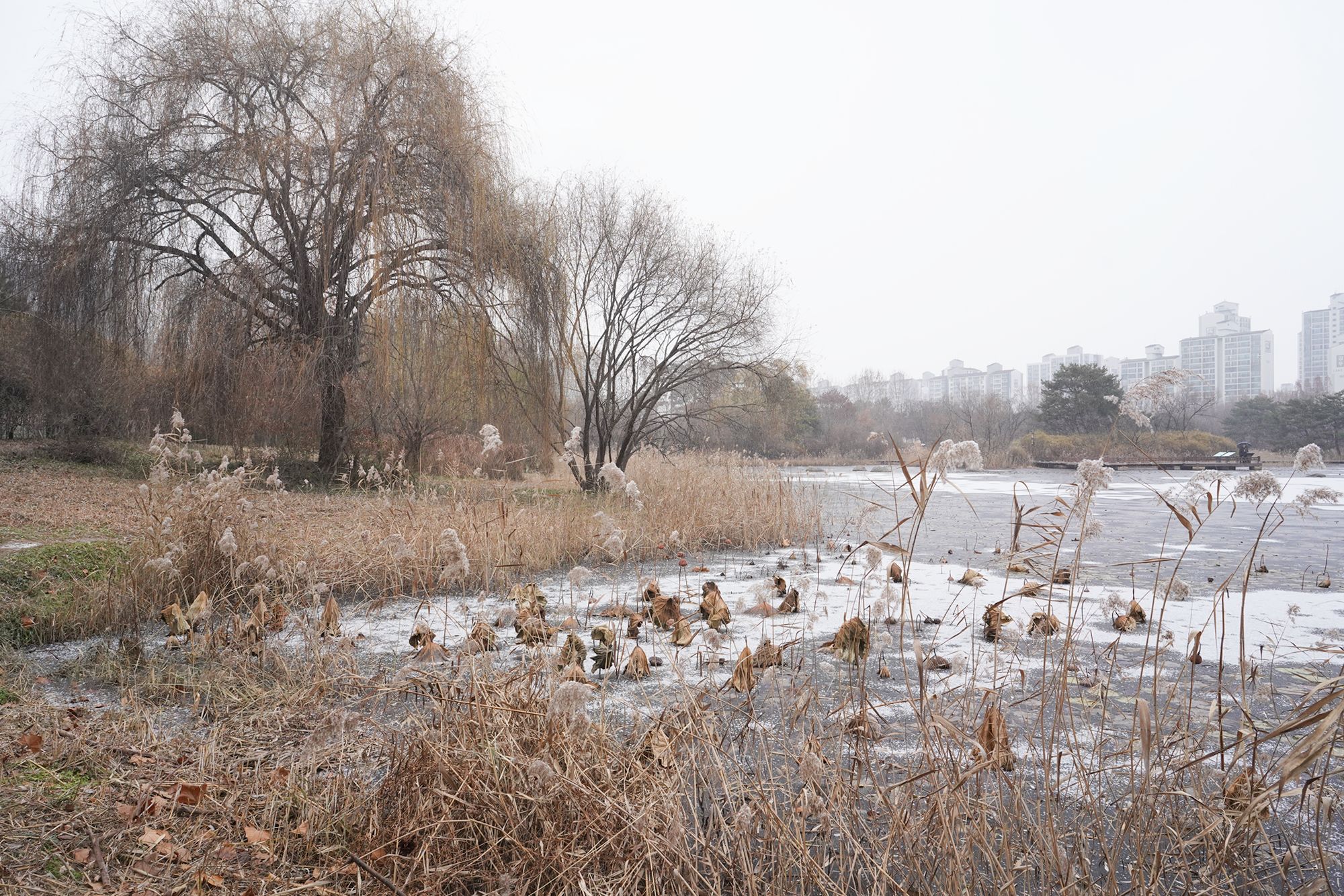 Ilsan Lake Park, Ilsan, South Korea - See Any Places