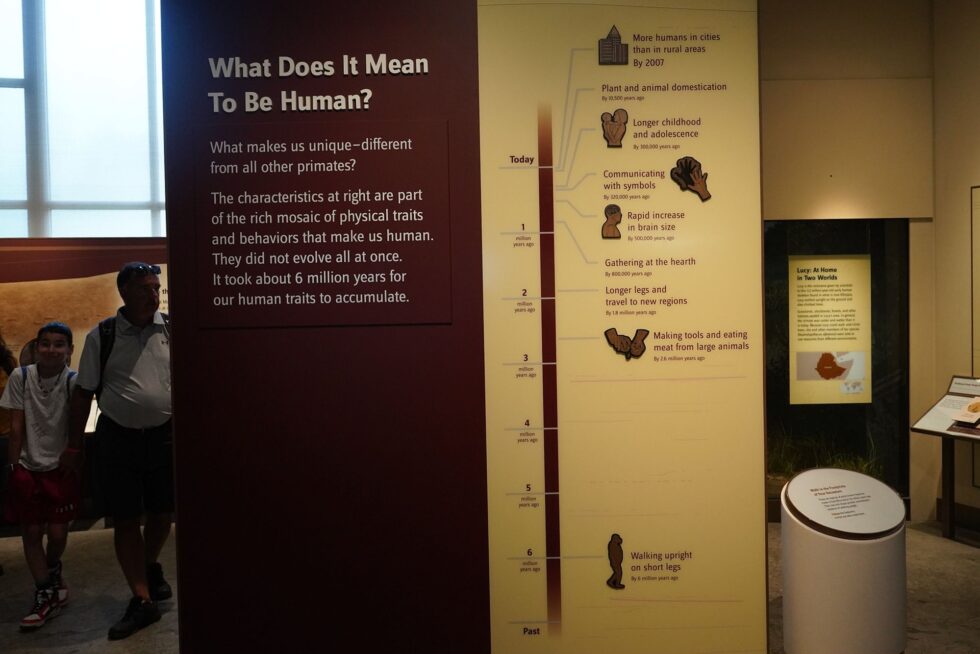 National Museum of Natural History – Human Origins, Washington DC, USA ...
